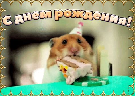 Смешная открытка с днем рождения мужчине | Смешные открытки, Смешно, С ...