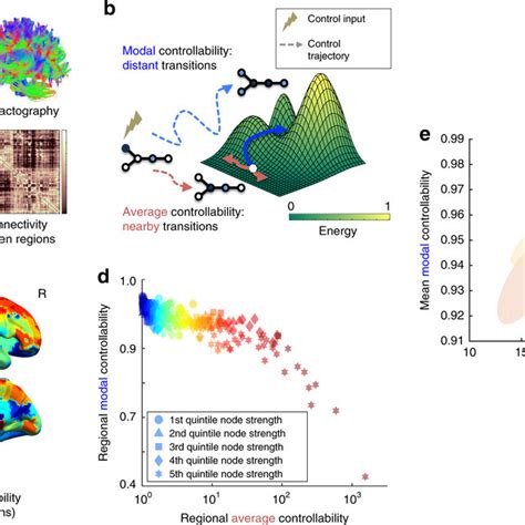 Controllability In Brain Networks A Diffusion Tensor Imaging Measures
