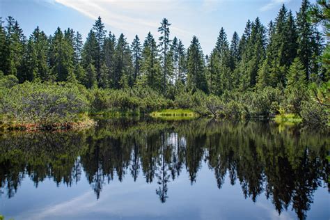 Three Lake Marsh By Pepazkotelny On Deviantart