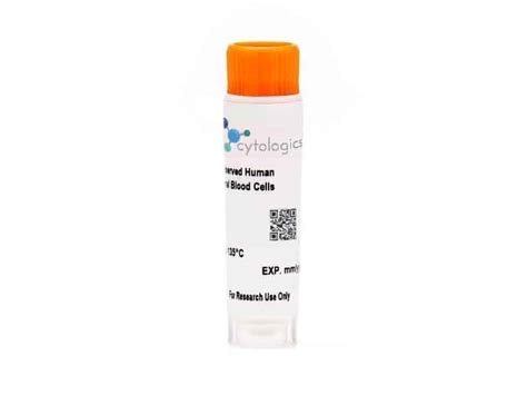 Buy Human Peripheral Blood Mononuclear Cells Pbmcs Cytologics