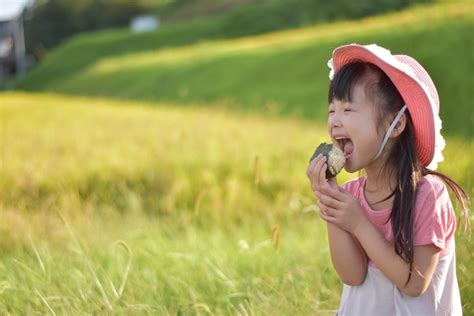 冷やご飯でダイエット！お米のプロから見る冷たいご飯の痩せる効果とは なならいふ。