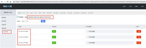 C Core 配置 Nacos 完整教程，还有提示 “endpoint” 相关内容报错的处理。 Jankie1122 博客园