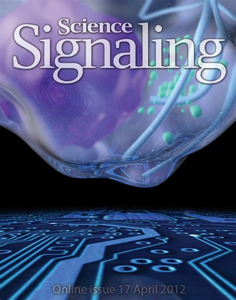 Synthetic Signal Propagation Through Direct Cell Cell Interaction Science Signaling
