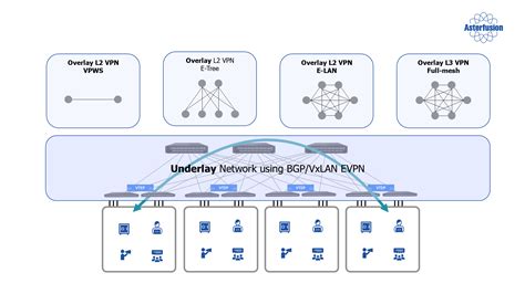 open networking solution by campus powered by end to end bgp evpn