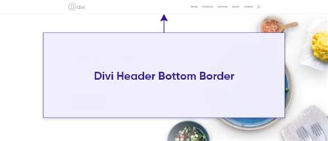 How To Remove The Header Bottom Border In Divi DiviFlash Docs