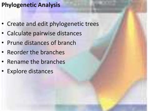 Matlab Bioinformatics Tool Box Pptx