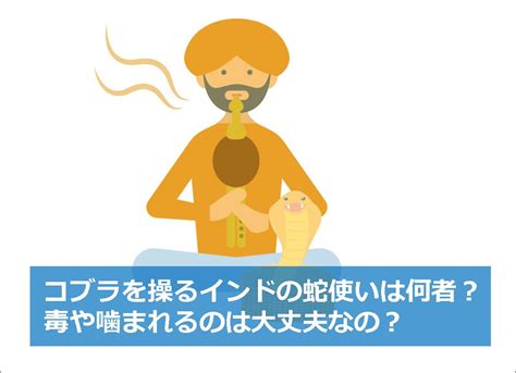 コブラを操るインドの蛇使いは何者？毒や噛まれるのは大丈夫なの？ 生物モラトリアム