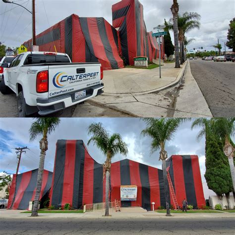 Commercial Termite Treatment Services Calterpest