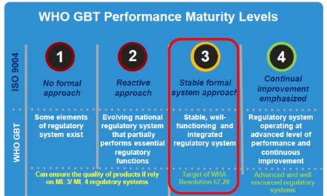 The Role Of The World Health Organization Who In Global Regulatory