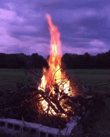 Bonfire S Tenor