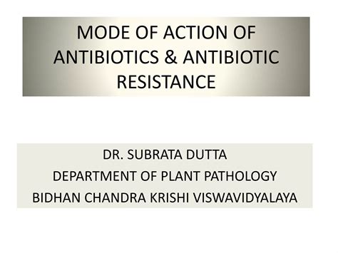 Presentation Antibiotics Pp503ppt