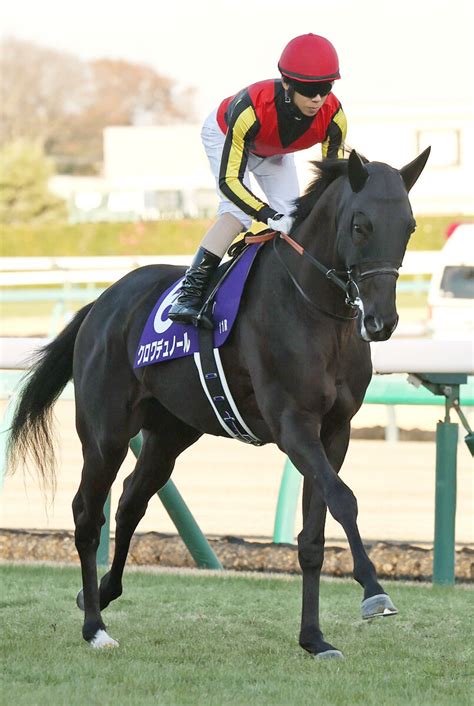 【ホープフルs】1番人気のクロワデュノールが無傷3連勝でg1初制覇 北村友一騎手は歓喜の涙 スポーツ報知