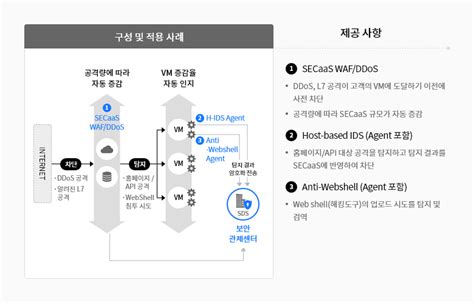 클라우드 보안 서비스 클라우드 삼성sds Ddos Casb
