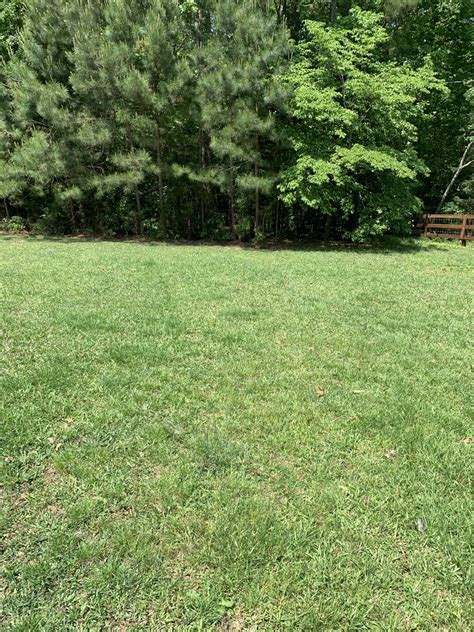 Centipede Grass With Lots Of Weeds Need Help Pics Attached Lawnsite