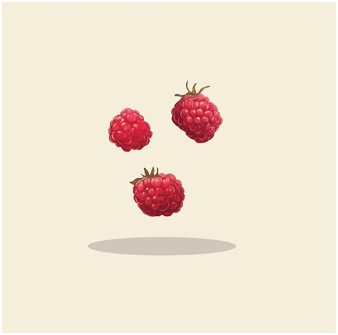 Premium Vector Illustration Of A Raspberry 02