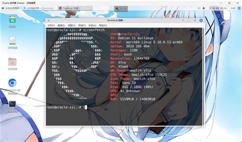 甲骨文 Arm 服务器安装 Debian Xfce 桌面
