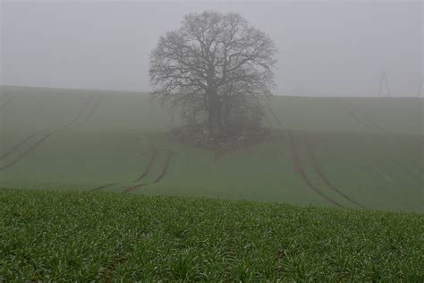 The Fog Hazy Morning In Free Photo On Pixabay Pixabay