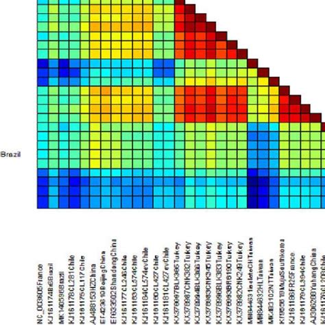 two dimensional pairwise sequence identity color plot of the lmv