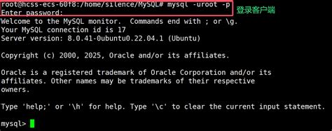 【mysql】数据库基础 数据库mysql csdn博客