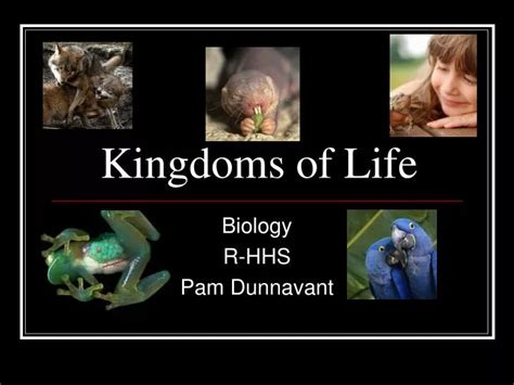 Ppt Kingdoms Of Life Powerpoint Presentation Free Download Id409760