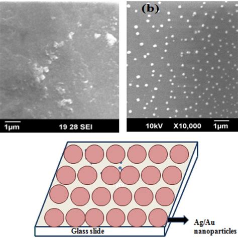 Scanning Electron Microscopy Sem Image Of A Metallic Thin Film And Download Scientific
