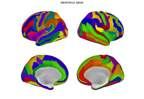 Parcellations Viz Performance Scaling For Structural Mri Surface