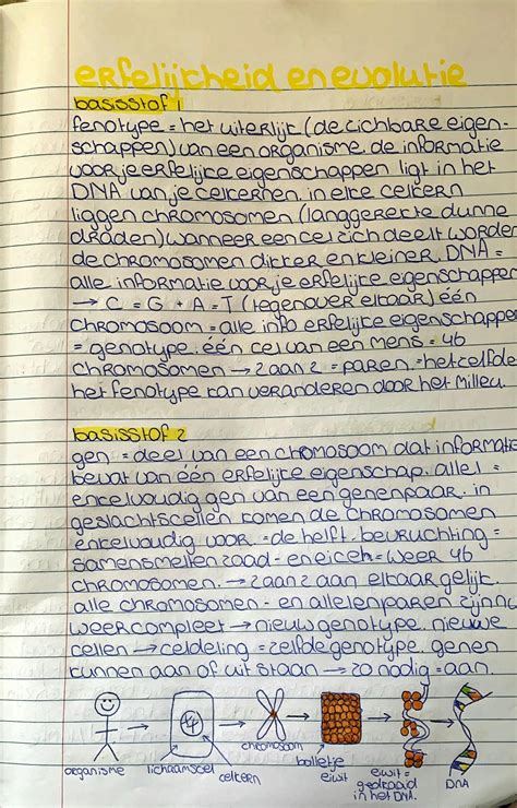 SOLUTION Biologie Voor Jou Havo 2 Erfelijkheid En Evolutie Samengevat