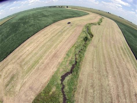 Saturated Buffers Reduce Nitrates More Efficient Farm And Dairy