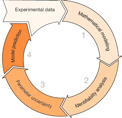 Mathematical Modeling Approach From An Experimental Data Set Download Scientific Diagram