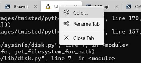 Tip Making Use Of Windows Terminal Tab Captions Conrad Akunga