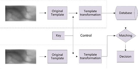 Traditional Schemes Of Biometric Template Generation Download Scientific Diagram