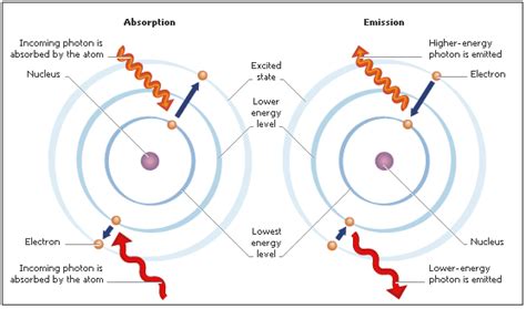 Absorption And Emission Of The Photon By An Electron In The Hydrogen