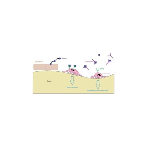 Denosumab