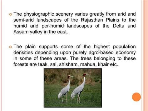 Biogeographical Classification Of India Pptx Asia Travel Travel