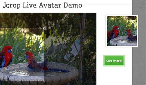 dynamic jquery image avatar cropping effect treehouse blog web