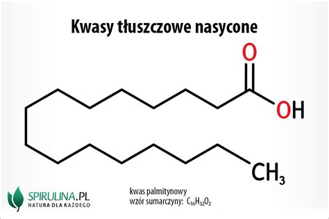 Kwasy tłuszczowe nasycone algi Spirulina i Chlorella