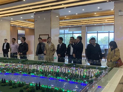 丽水市美镇办赴松阳县开展督查工作