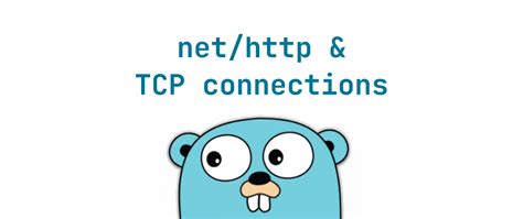 How Gos Net Package Manages Tcp Connections Leapcell