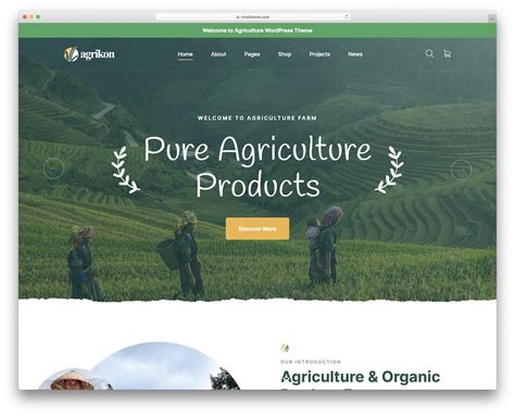 Best Nature WordPress Themes In ULTIDA