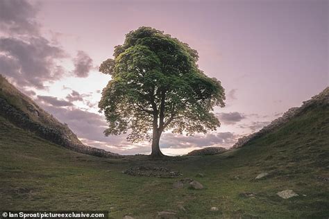 The Most Bizarre Whodunnit Gripping Britain Theories Swirl Over Just