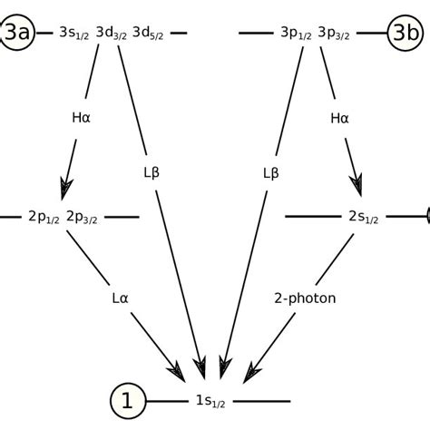 Three Level Atomic Hydrogen Model And Its Radiative Transitions