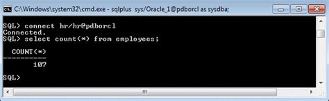 installing oracle database 12c on windows