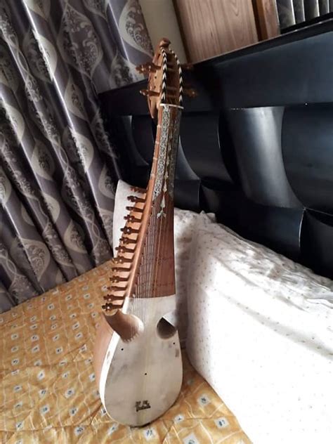 Afghani Handmade Mint Condition Professional Rabab Medium Reverb