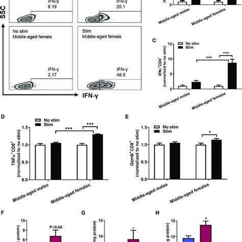 Sex Differences In Adipose Cd8 T Cell Cytokine Production Ex Vivo