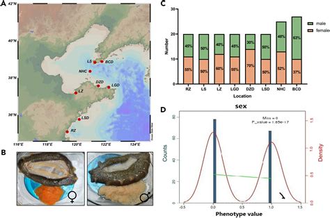 Population Genomic Analysis Reveals A Polygenic Sex Determination System In Apostichopus