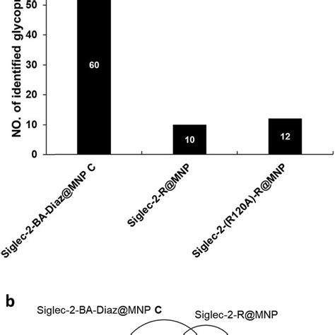 Preparation Of Functionalized Mnps Download Scientific Diagram