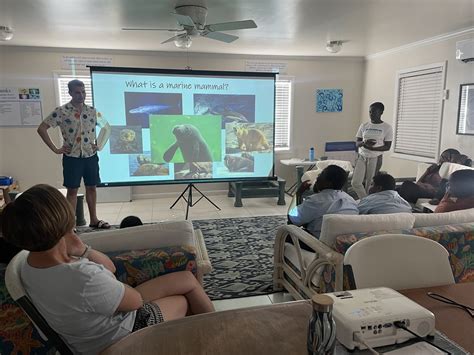 The Sea Of Abaco Day 4 Dolphin Acoustics Vip
