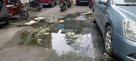 中和街道小区无人管理脏乱差污水横流 群众呼声四川问政 四川省网上群众工作平台 高新区委书记