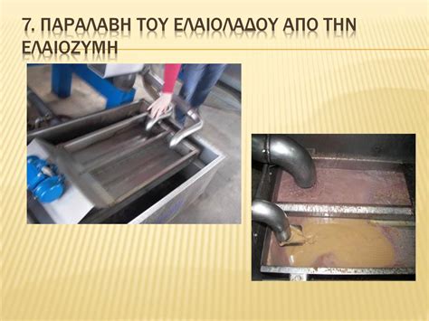 Εργασία για Project πΑραγωγη ελαιολαδου Ppt κατέβασμα