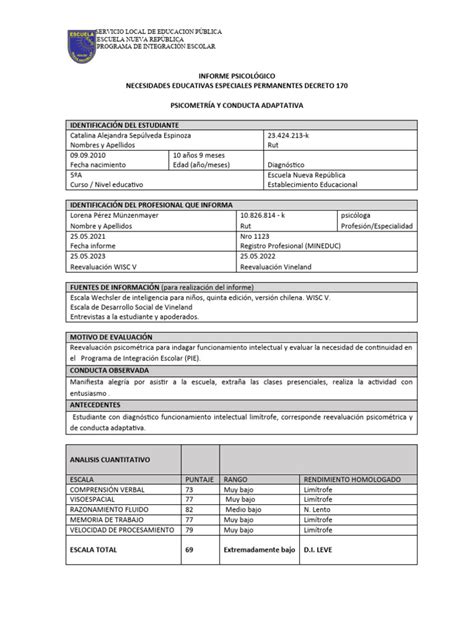 Informe Tipo Wisc V Descargar Gratis Pdf Neurociencia Cognición